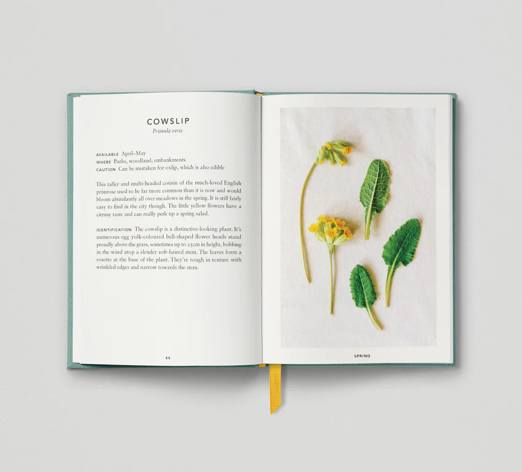 The Urban Forager – Hackney Essentials