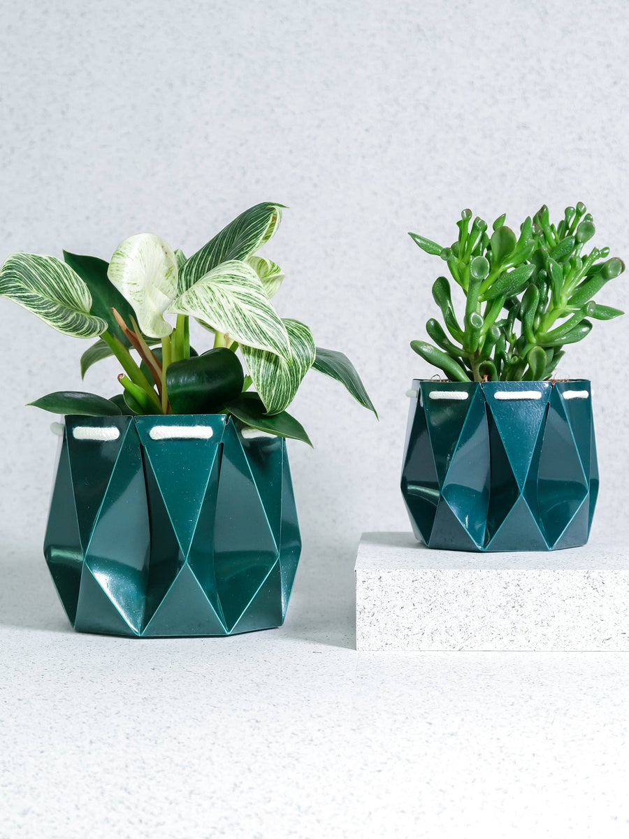 15cm Self-watering Ocean Pot | Deep Green – Hackney Essentials